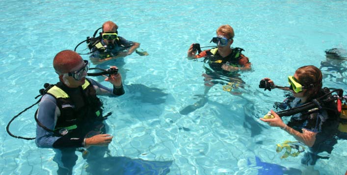 61% OFF on Diving in Dubai or Fujairah from Paradise Blue Diving | Cobone