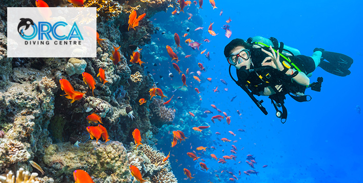 Up To 64% Discount On 2 Hours Scuba Diving From ORCA Diving Center ...