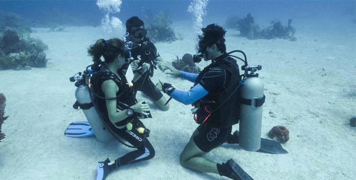 Diving In Dibba Fujairah by Paradise Blue Club From AED 149 Only! | Cobone