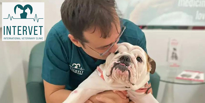 Pet Checkup And Vaccine at Intervet Veterinary Clinic For AED 273 | Cobone