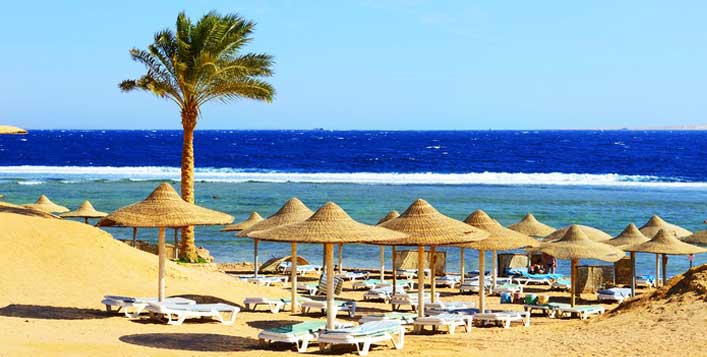 1 Night Stay Package at Flamingo Beach Resort | Cobone