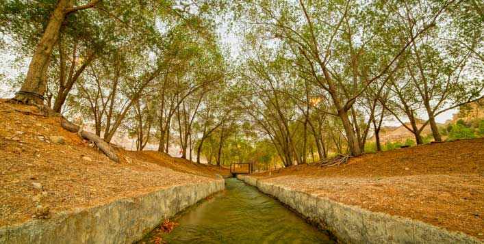 Green Mubazzarah Sightseeing Train Tours and Deals | Cobone Offers