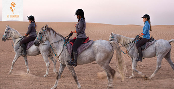 Al Jumooh Equestrian Centre Horse Riding | Cobone